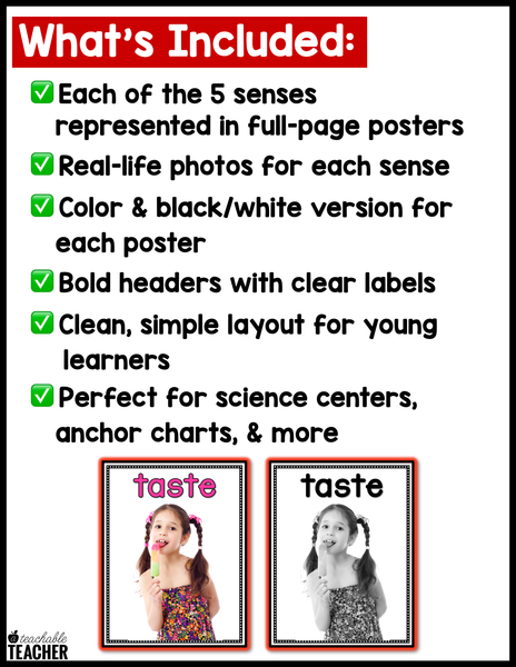 5 Senses Posters with Real Photographs – A Teachable Teacher