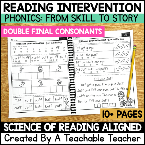 Double Final Consonants - Worksheets for Reading Intervention – A ...