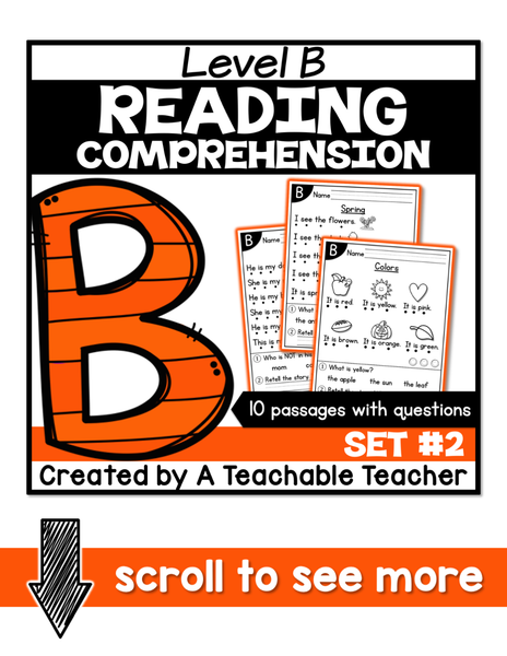 Level B Reading Comprehension Passages and Questions - Set Two – A ...