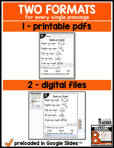 Level B Reading Comprehension Passages and Questions - Set Two – A ...
