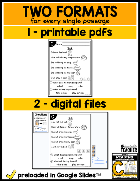 Level C Reading Comprehension Passages and Questions - Set Two – A ...