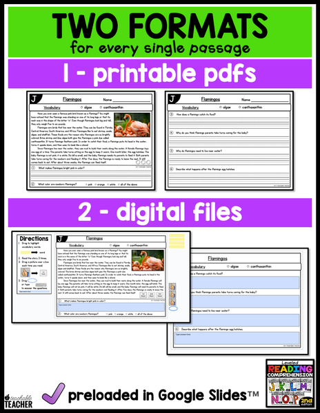 Leveled Reading Passages J-P BUNDLE – A Teachable Teacher