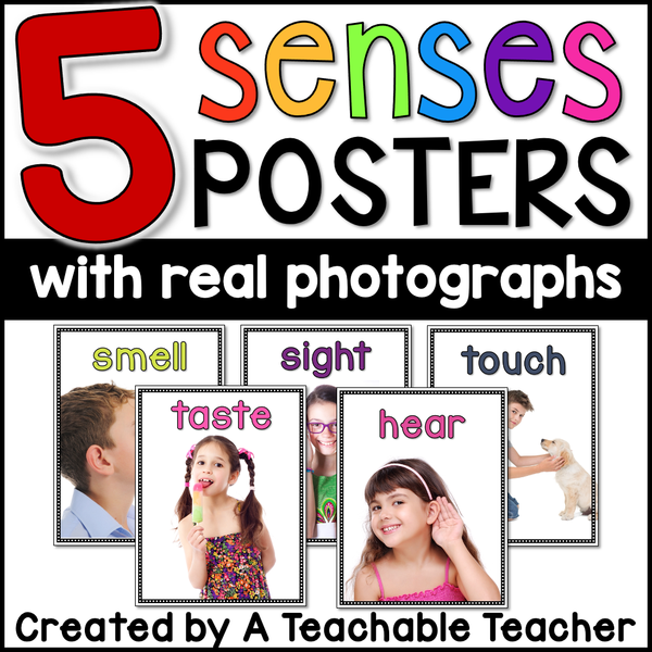 5 Senses Posters with Real Photographs – A Teachable Teacher